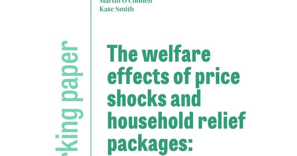 The welfare effects of price shocks and household relief packages ...